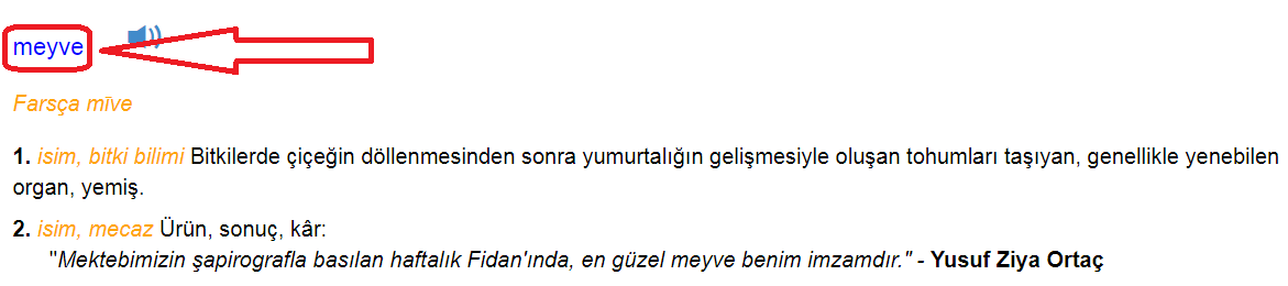 Meyve mi Meyva mı Doğru Yazılışı Hangisidir? (TDK Kanıtlı) | Mmsrn.com ...