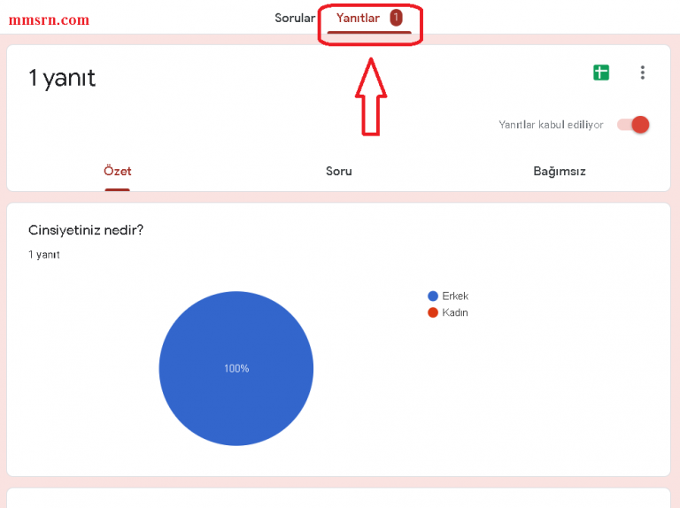 Google Anket (Form) Oluşturma Nasıl Yapılır? | Mmsrn.com | Eğitim ve ...